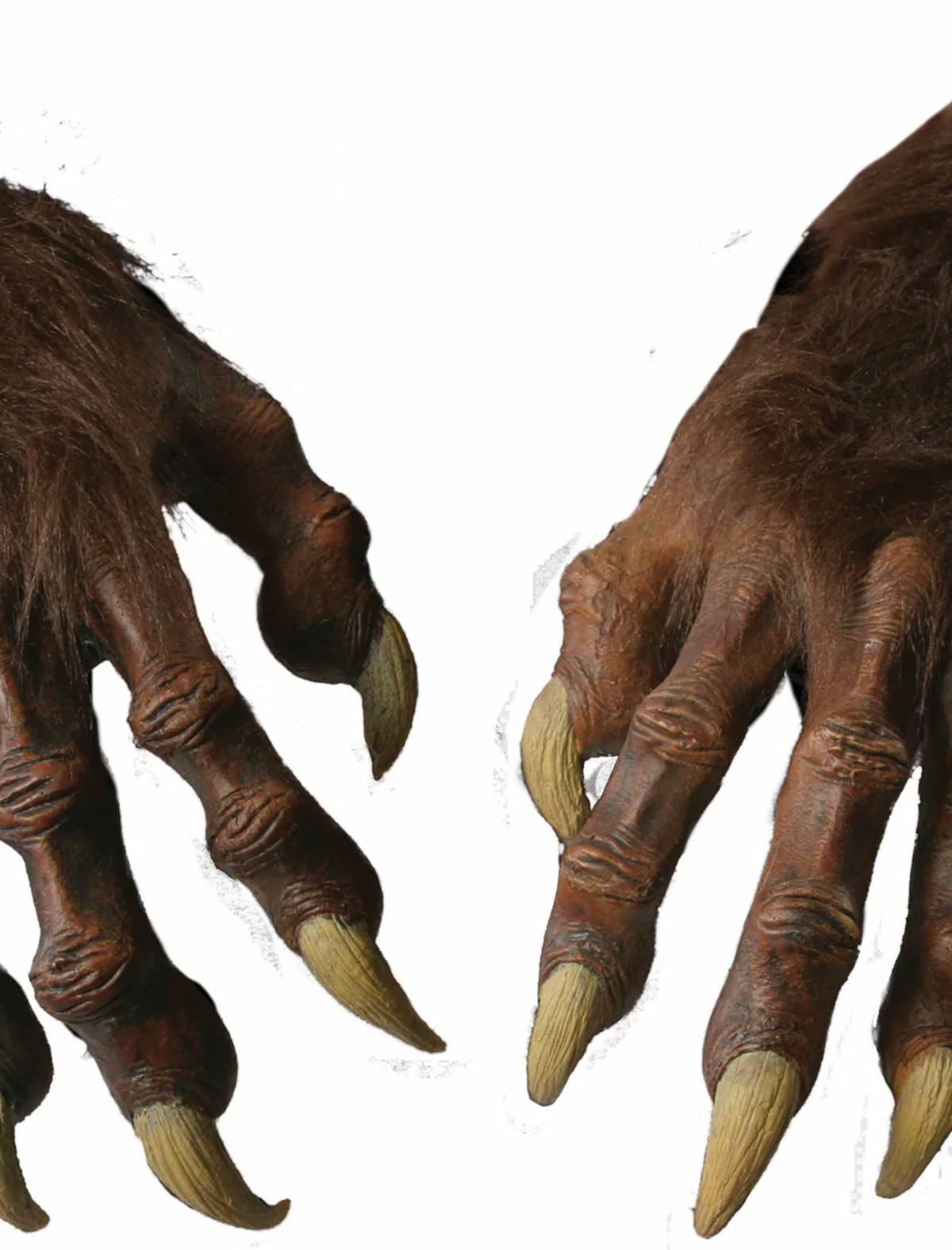 Deluxe Werewolf Costume — The Costume Shop