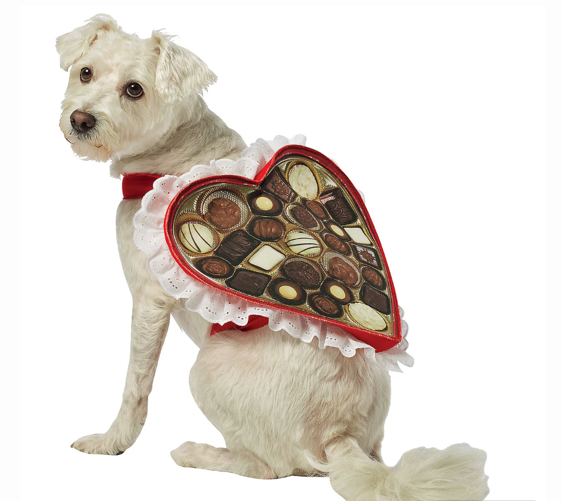 Chocolate Box Costume Fun — The Costume Shop