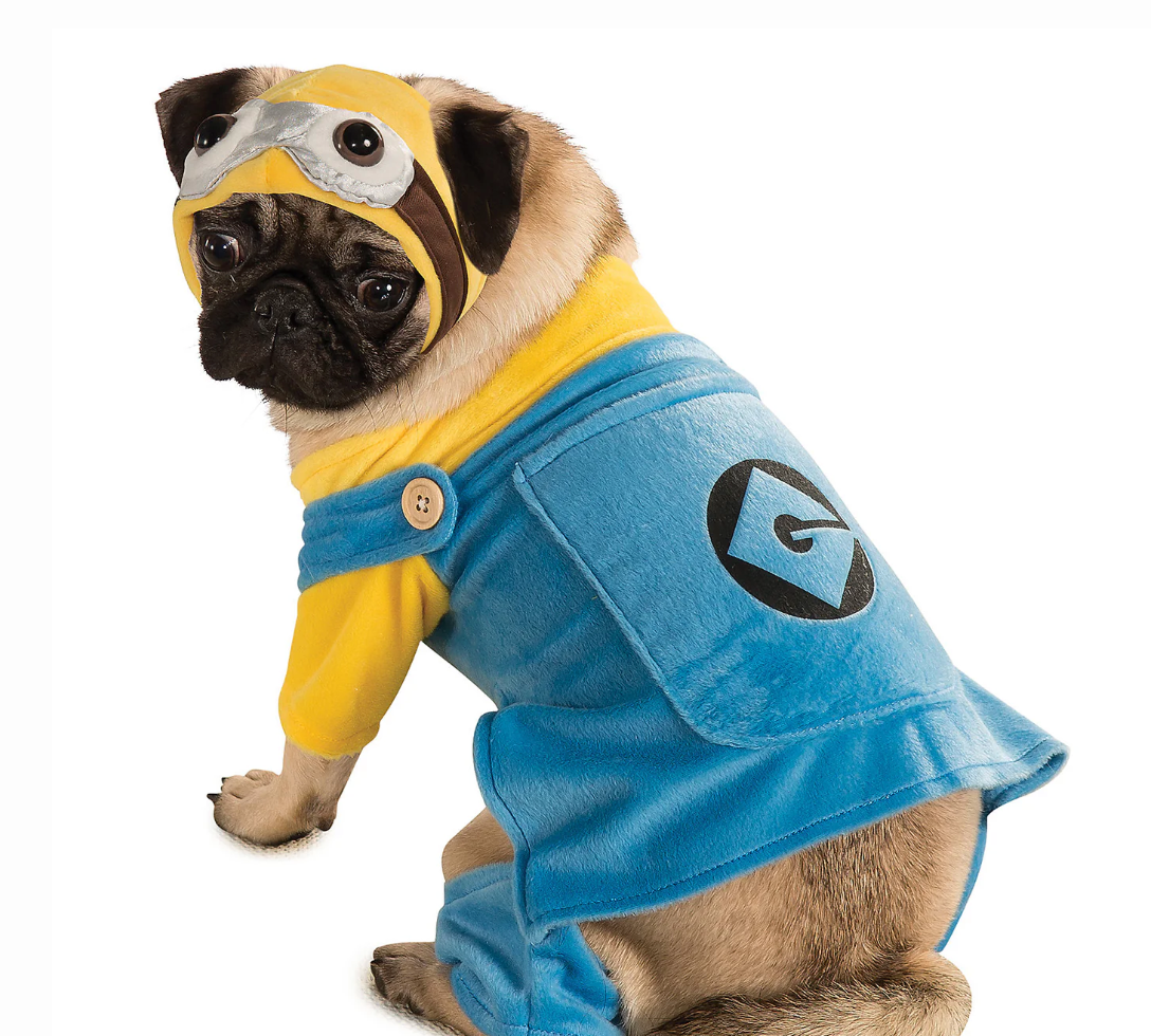 Minion Mischief, Pet Memories — The Costume Shop