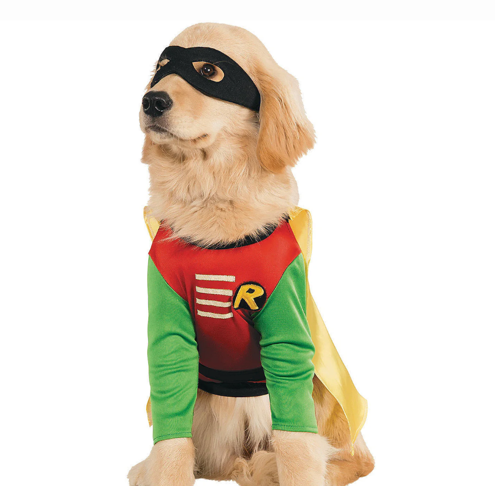 Everyday Heroes: Transforming Ordinary Moments with the Batman Dog Cos ...
