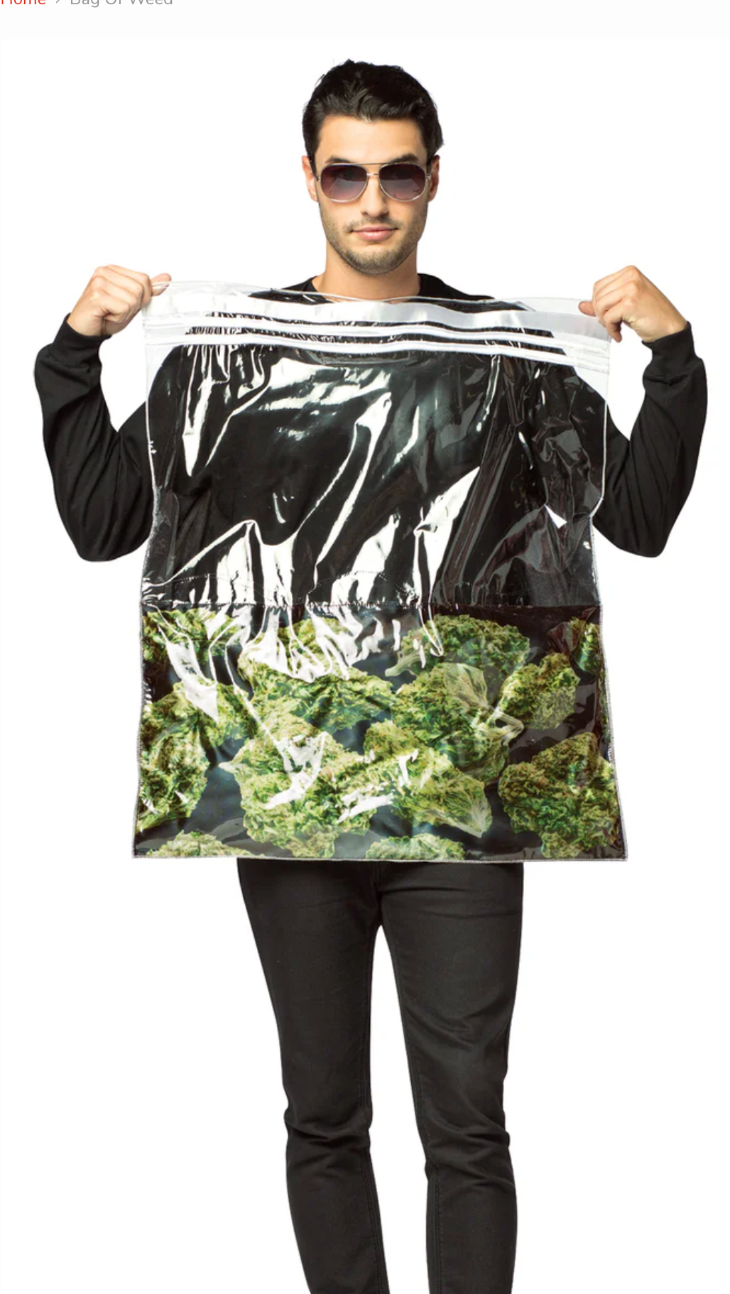 Breaking the Stigma: Bag of Weed Costume — The Costume Shop