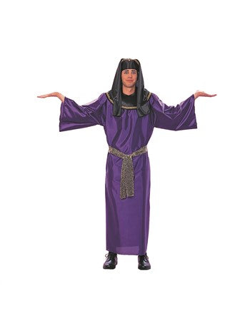 Adult Pharaoh Costume | Purple | Costume-Shop.com — The Costume Shop