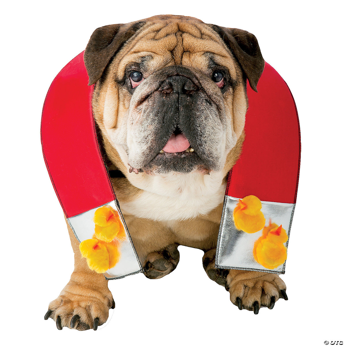 Chick Magnet Dog Costume | Costume-shop.com — The Costume Shop