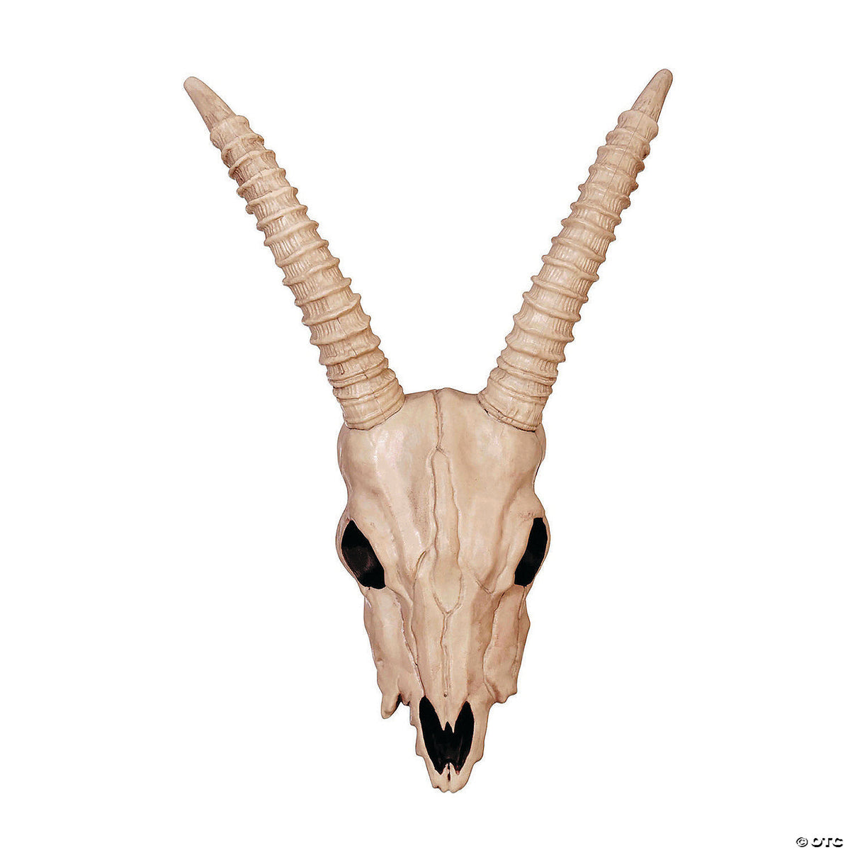 Gazelle Skeleton Skull | Costume-shop.com — The Costume Shop