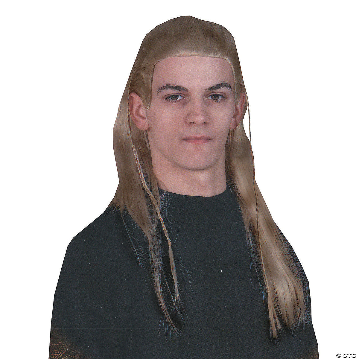 Lord of the Rings™ Legolas Wig — The Costume Shop