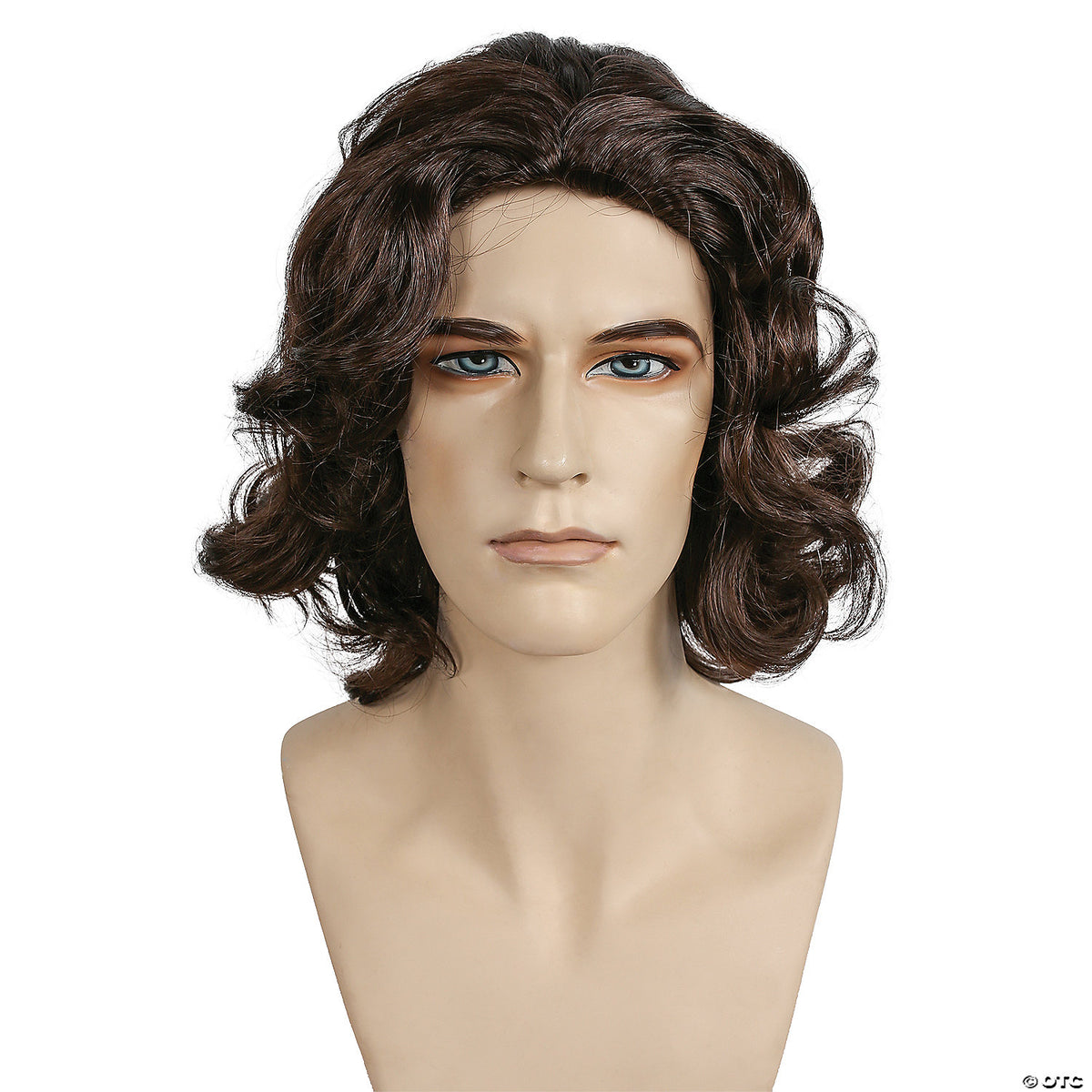 Classic Beethoven Costume Wig | Costume-Shop.com — The Costume Shop